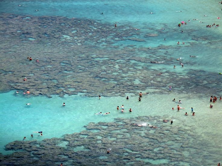 Sunscreens Harm Coral Reefs and Marine Life - Seyahat ve Tüplü Dalış
